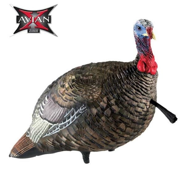 Avian X LCD Quarter-Strut Jake Decoy | Londero Sports
