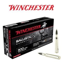 Winchester Ballistic Silvertip 300 WSM 180 gr. Ammunitions | Londero Sports