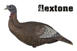 Flextone Turkey Thunder Chick Upright Decoys | Londero Sports
