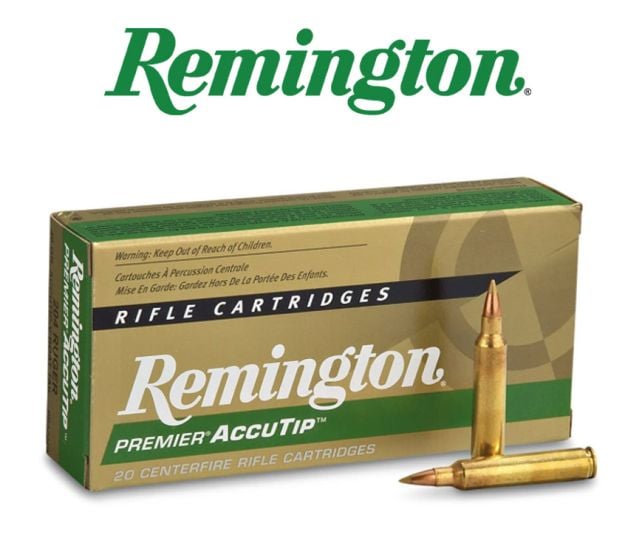 Remington Accutip BT 204 Ruger 40 gr. Ammunitions | Londero Sports