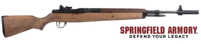 Springfiled Armory M1A Undelever 800 fps .22 Air Rifle