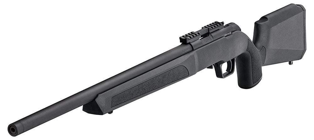 Carabine Springfield Armory Model 2020 Rimfire Target .22 LR ...