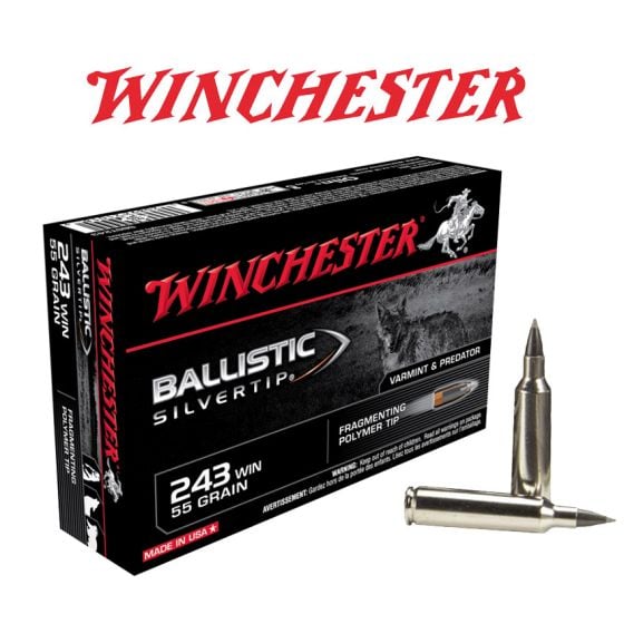 Winchester Ballistic Silvertip 243 Win 95 gr. Ammunitions | Londero Sports
